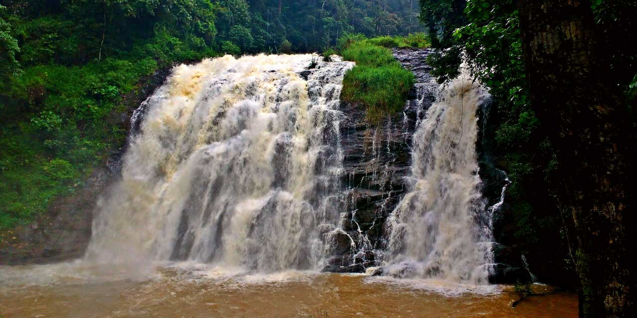 Abbey Falls Coorg (Timings, Entry Fee, Images, Best time to visit ...